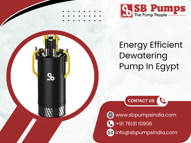 Energy Efficient Dewatering Pump in Egypt, Energy Efficient Dewatering Pump Suppliers